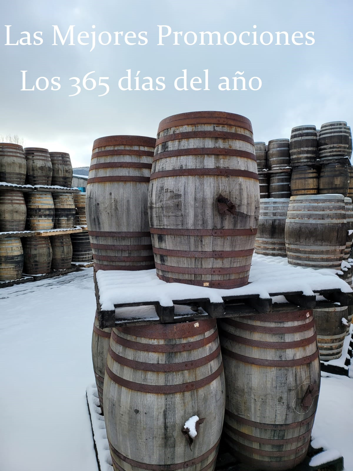 Promociones – Vinexa/LasBarricas